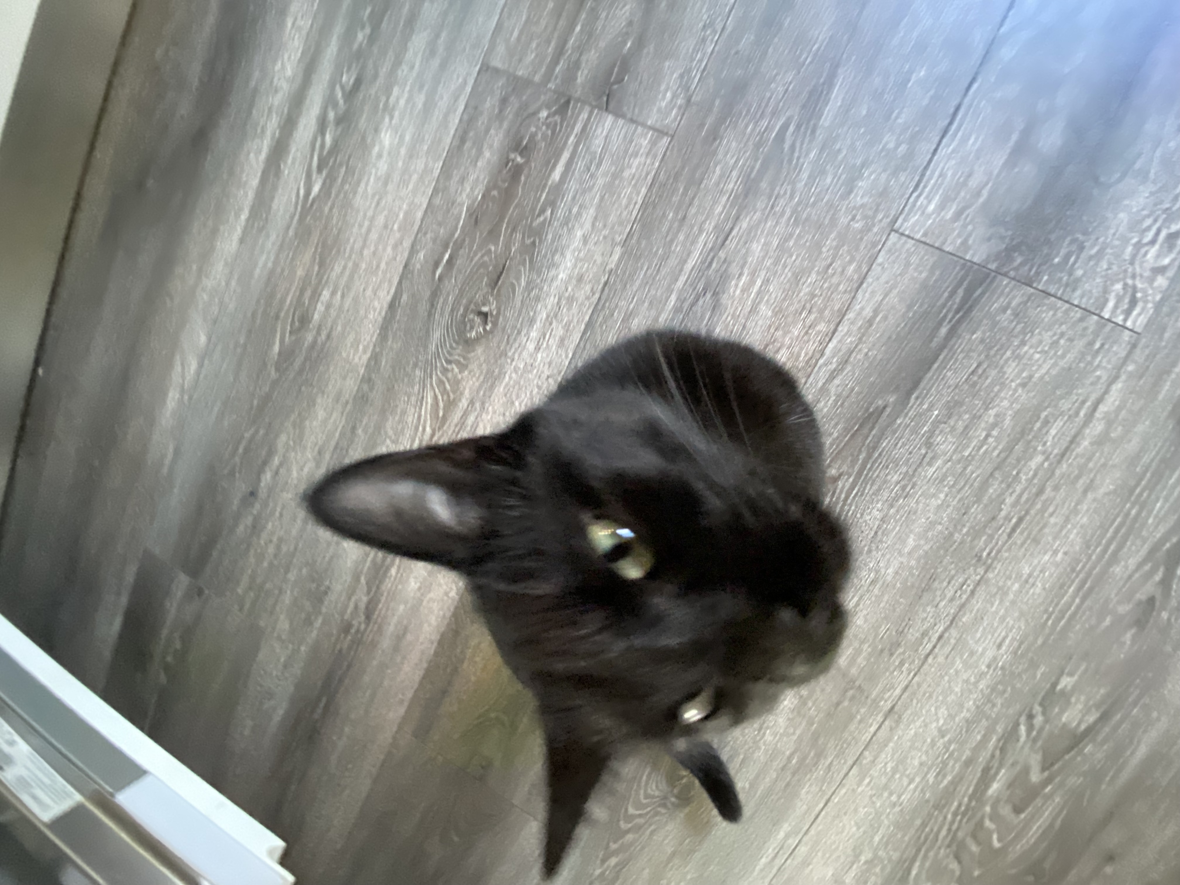 Industrijske šivaće mašine - Šivaće mašine i dijelovi - OLX.ba