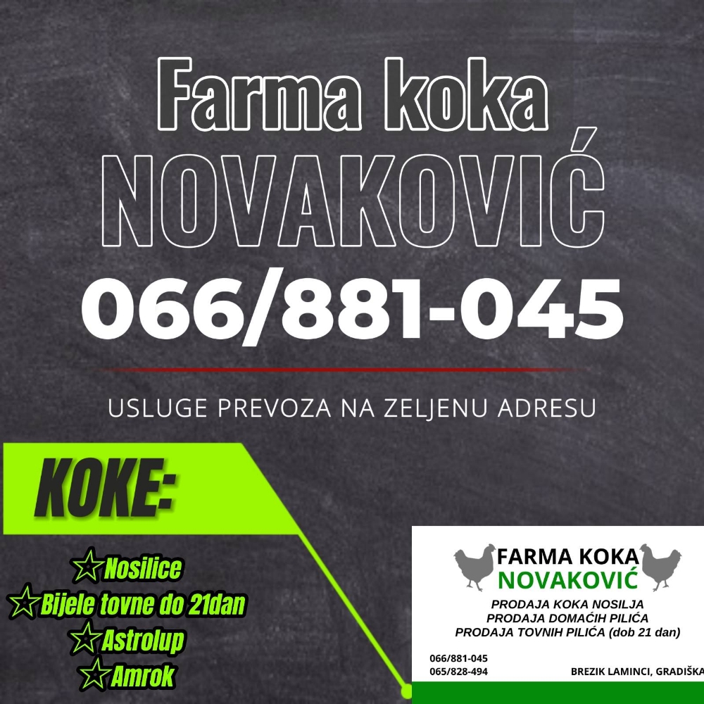 Amrok pilići - Kokoške - OLX.ba