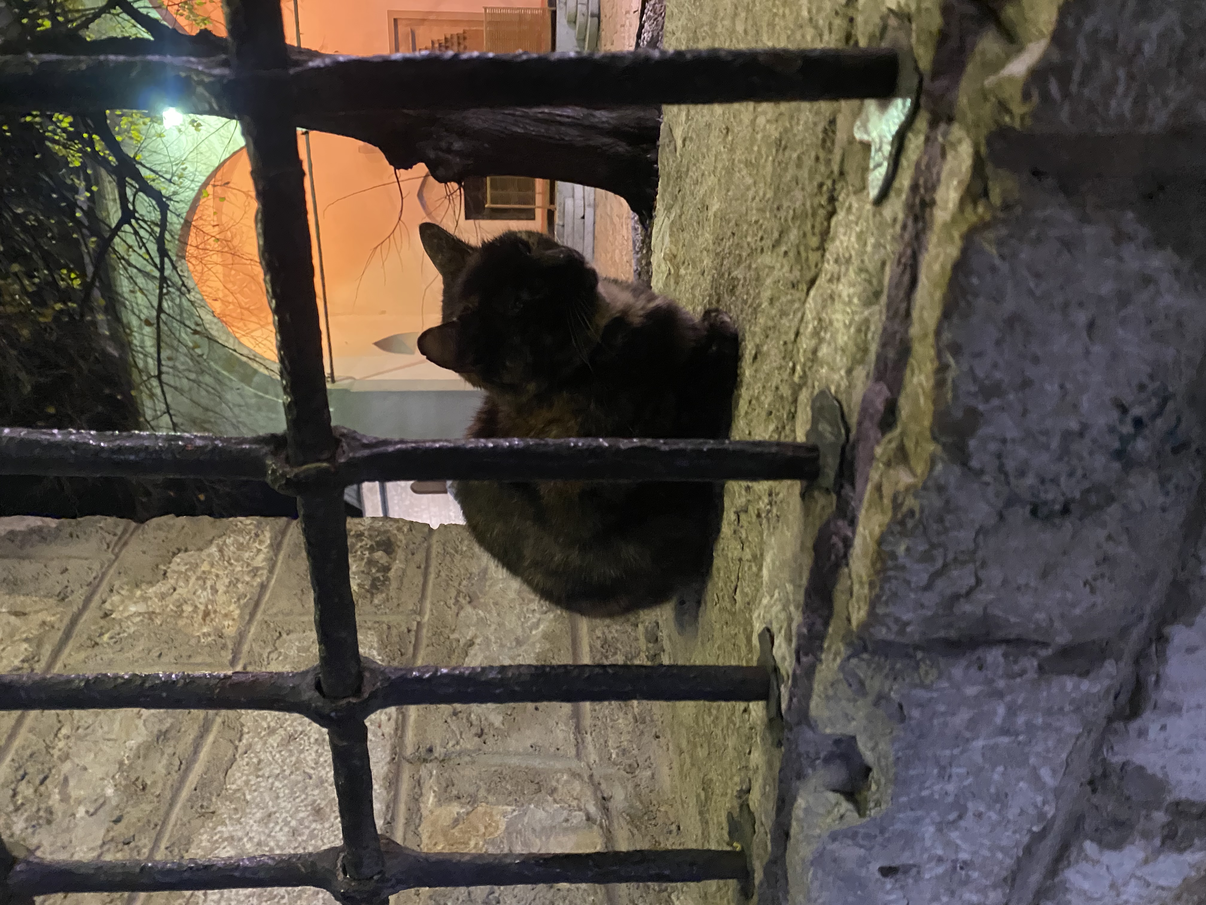 Tissot prx(POEDAGAR) - Ručni Satovi - OLX.ba