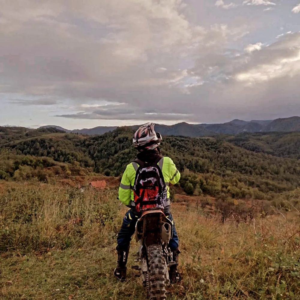 Ovan pramenka - Ovce - OLX.ba