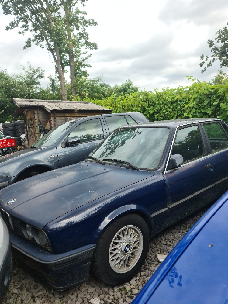 Golf 5 - Za sve ostalo - OLX.ba