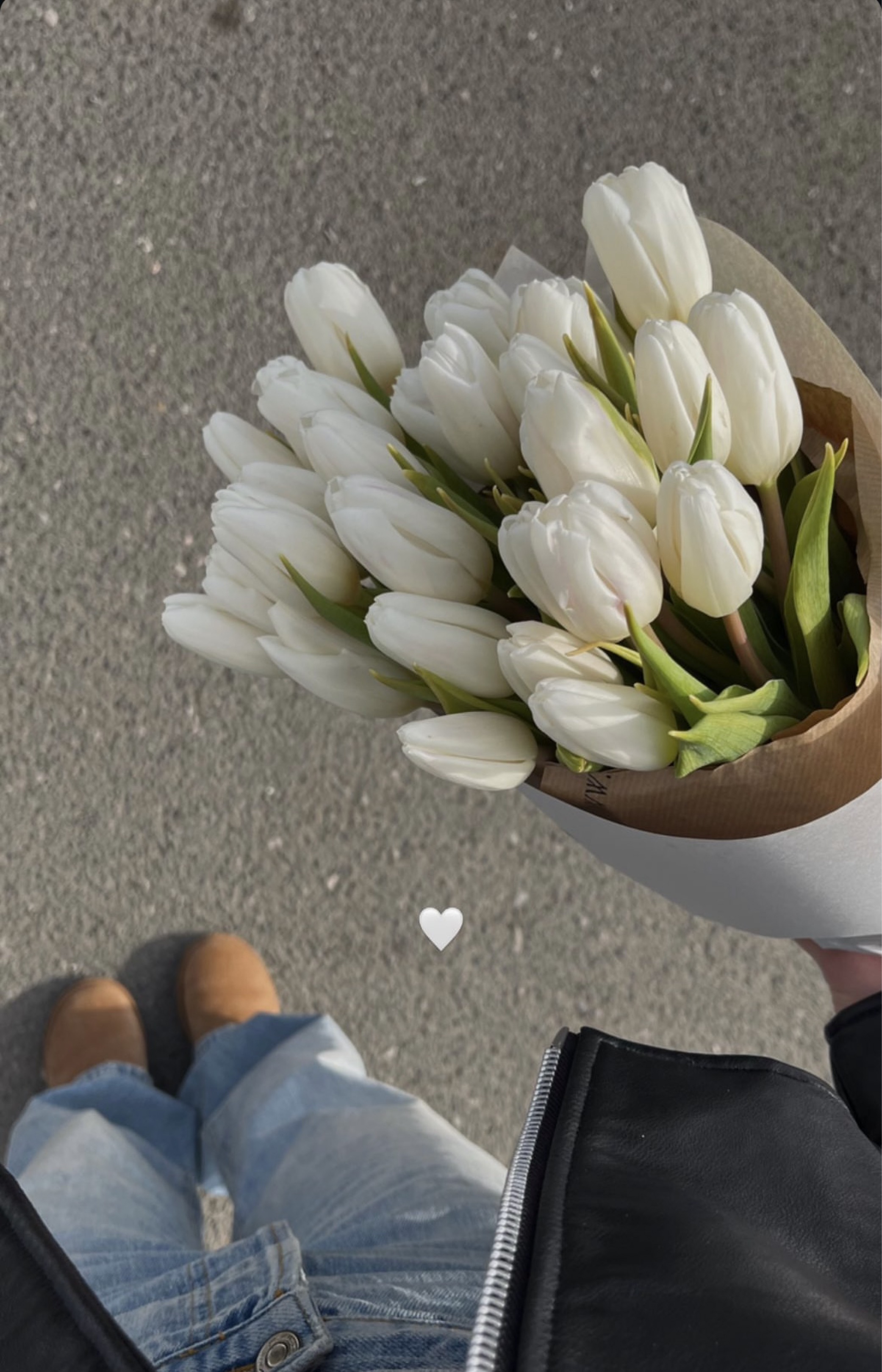 Bijela torba Harier - Torbe i ruksaci za žene - OLX.ba