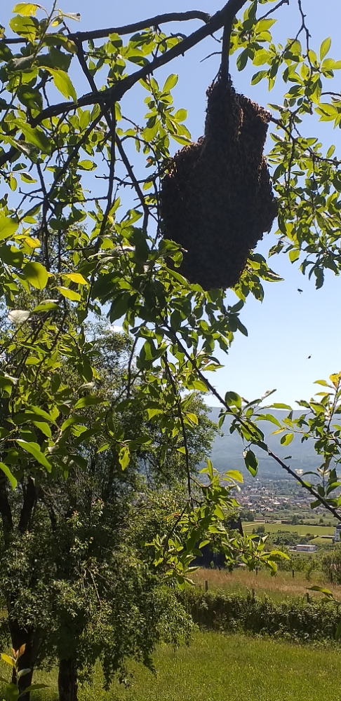 Motocikl Kroser - Motocikli u dijelovima - OLX.ba