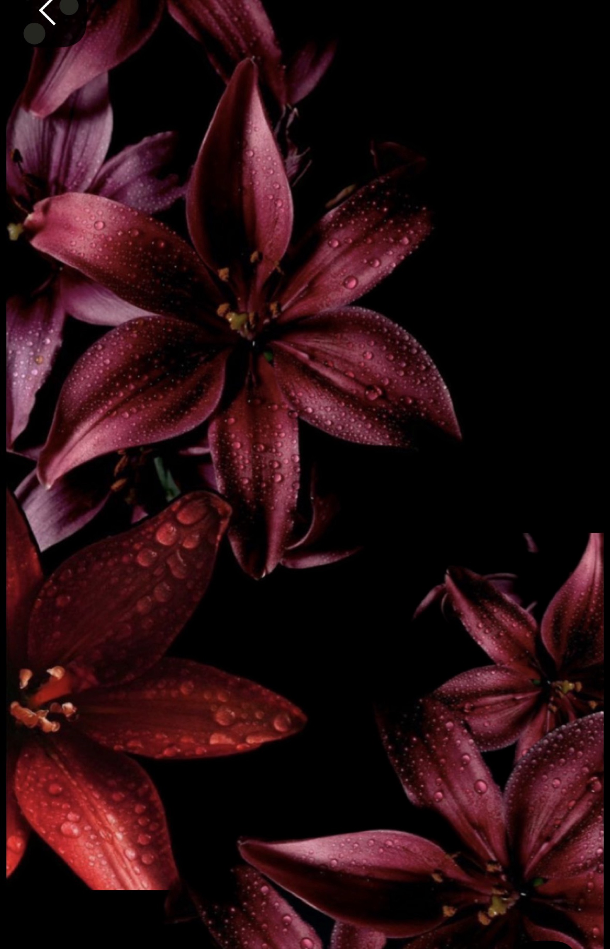 GALAXY S22 ULTRA 12/256GB KAO NOVO - Mobiteli - OLX.ba