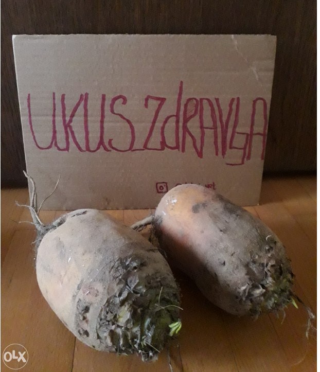 Sjeme stočne repe sjeme stočna repa 200 grama - Sjemena - OLX.ba