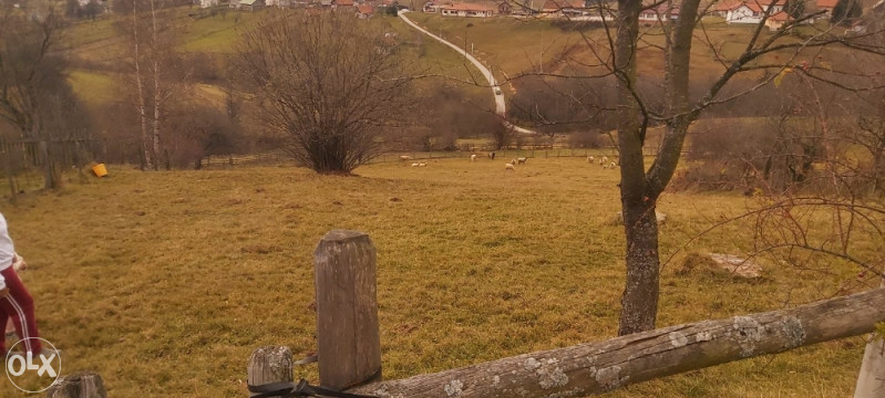 Zemljište Nisicka Visoravan 3000 m² - Zemljišta - OLX.ba