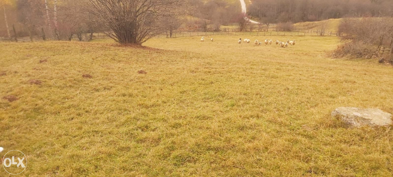 Zemljište Nisicka Visoravan 3000 m² - Zemljišta - OLX.ba