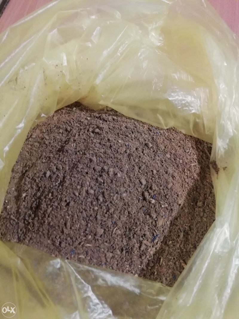 Propolis sirovi - Med i proizvodi od meda - OLX.ba