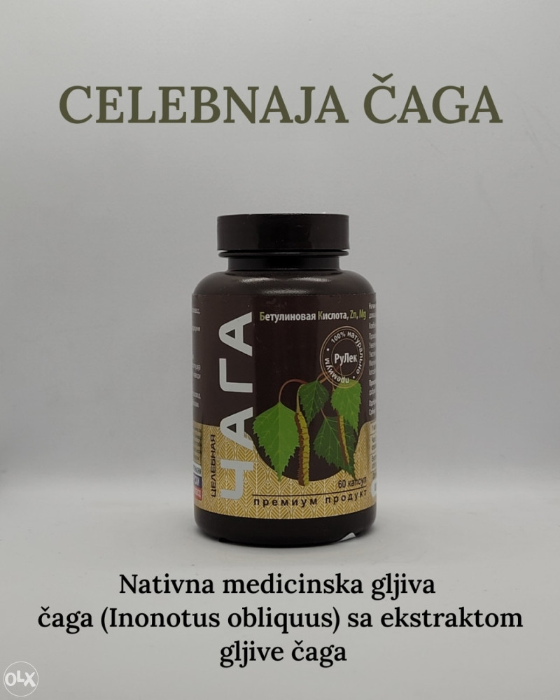 Ruska Rulek Čaga Caga Chaga 60 kapsula - Biljni preparati - OLX.ba