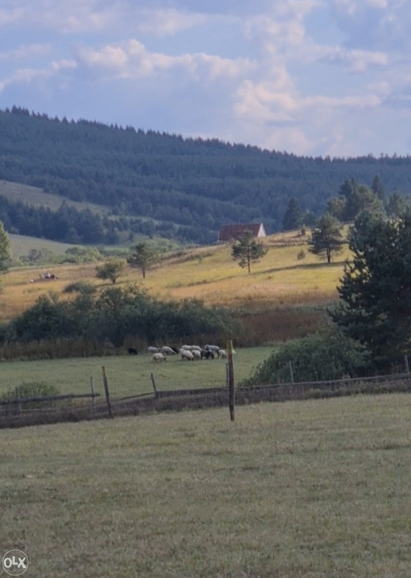 NISICKA VISORAVAN-Nišići zemljiste/placevi - Zemljišta - OLX.ba