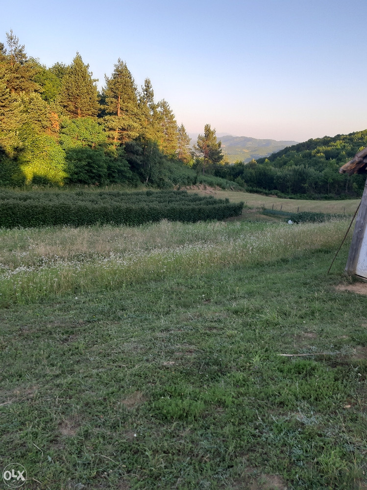 Zemljište Visoko Kula Banjer - Zemljišta - OLX.ba