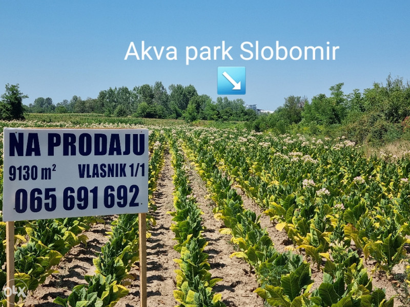 Zemljište placevi Bijeljina Pavlovic most plac drina - Zemljišta - OLX.ba