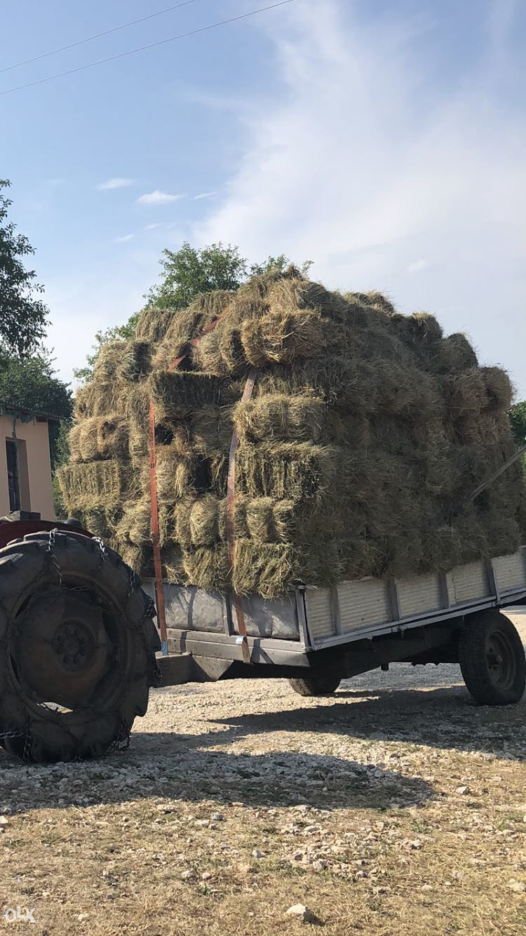 Balirano sijeno, bale - Hrana i oprema - OLX.ba
