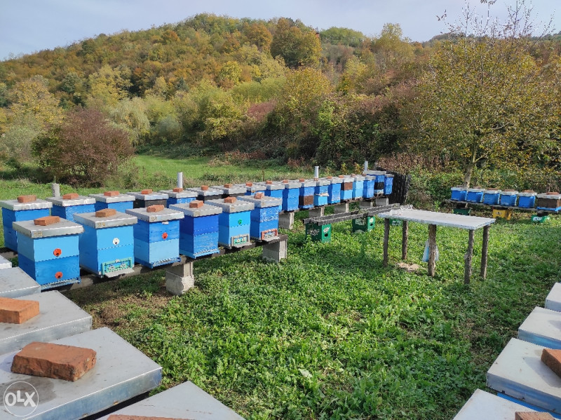 Prirodni pcelinji med - Med i proizvodi od meda - OLX.ba