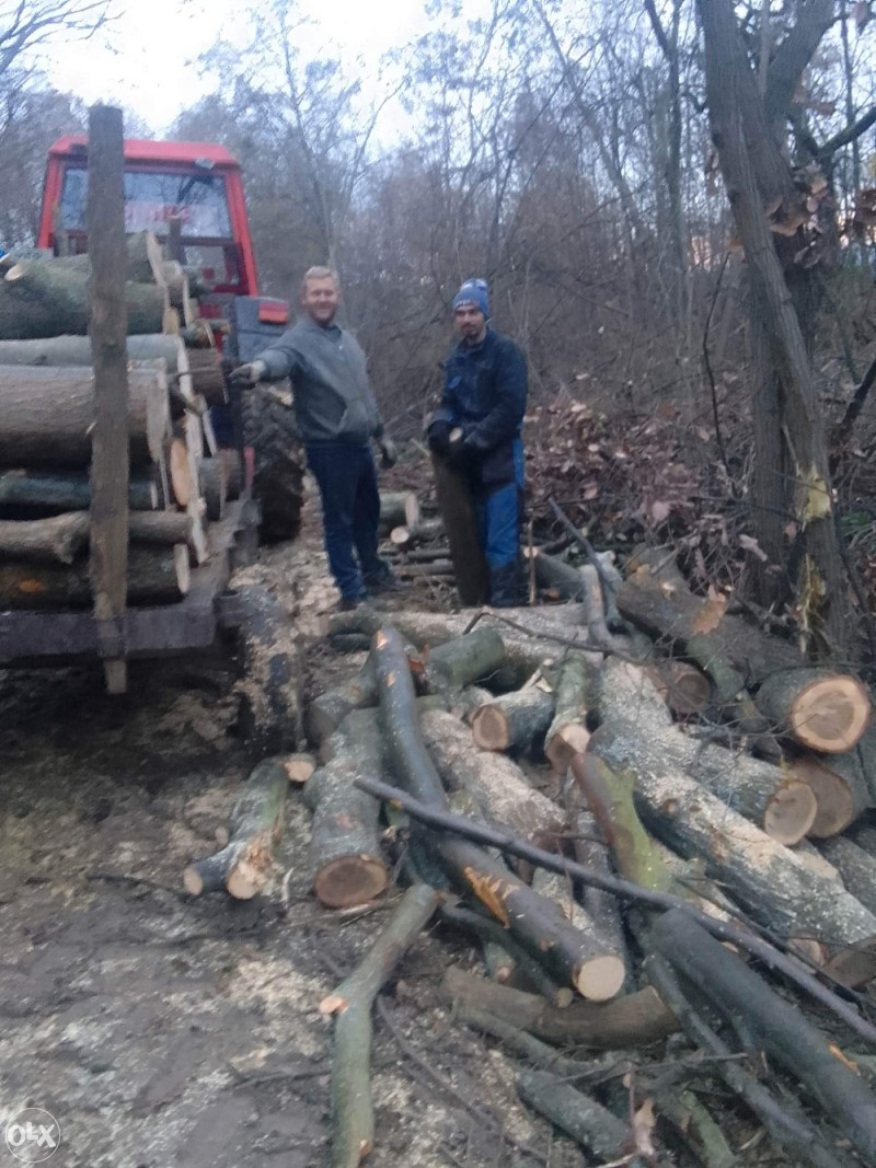 Drva bukva - Ugalj i drva - OLX.ba