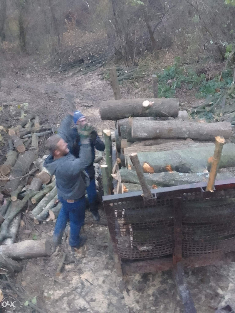 Drva bukva - Ugalj i drva - OLX.ba