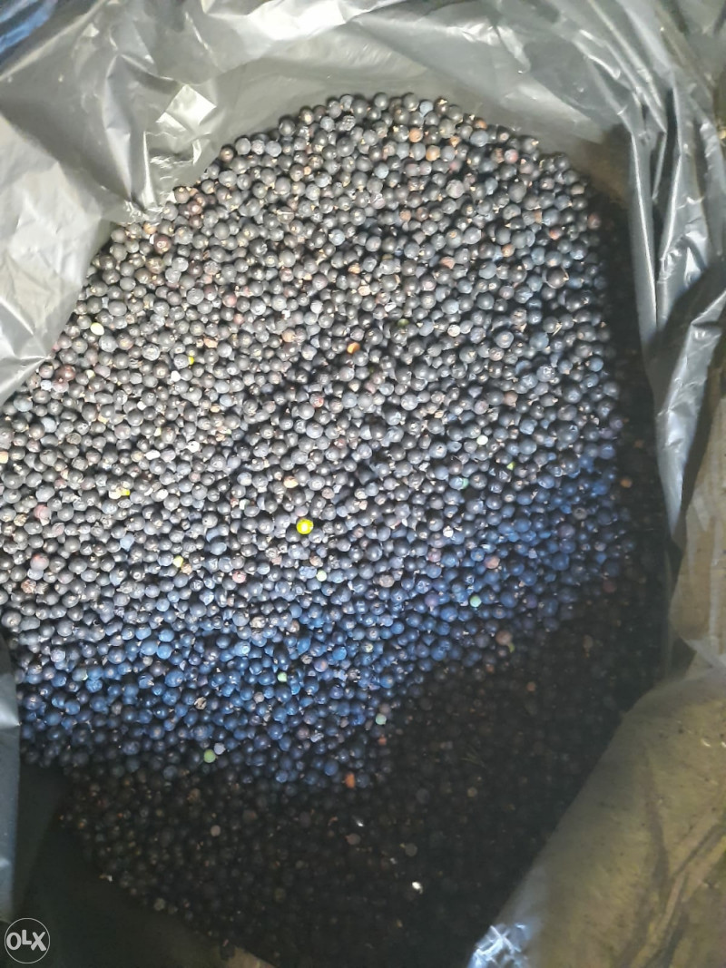 Smreka smrekova boba kleka klekova boba - Ostalo - OLX.ba