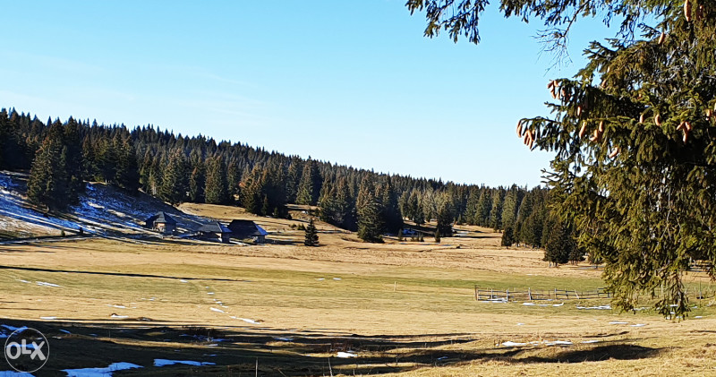 PRODA.KOLIBA VLASIC ELEZOVICE,ZEMLJA,PARCELE,VIKENDICA - Vikendice - OLX.ba