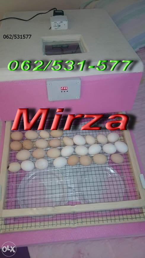 Poluautomatski 92 jaja inkubator Brama Prepelice - Inkubatori - OLX.ba