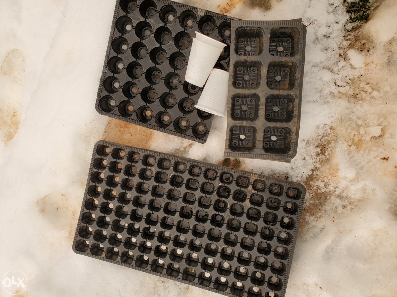 Kontejneri i čašice za rasad,rasadu,presadu - Vazne i saksije - OLX.ba