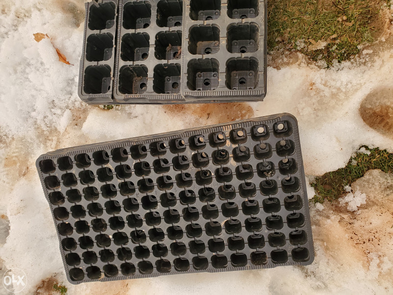 Kontejneri i čašice za rasad,rasadu,presadu - Vazne i saksije - OLX.ba