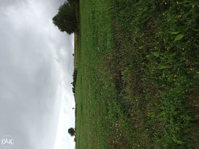 Nisicka Visoravan - Zemljišta - OLX.ba