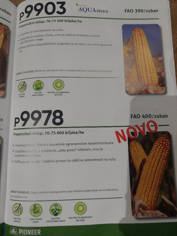 Pionir sjeme sjemenski kukuruz Pioneer zito - Sjemena - OLX.ba