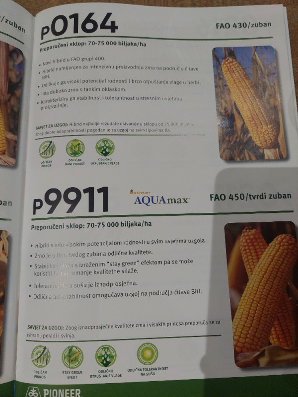 Pionir sjeme sjemenski kukuruz Pioneer zito - Sjemena - OLX.ba