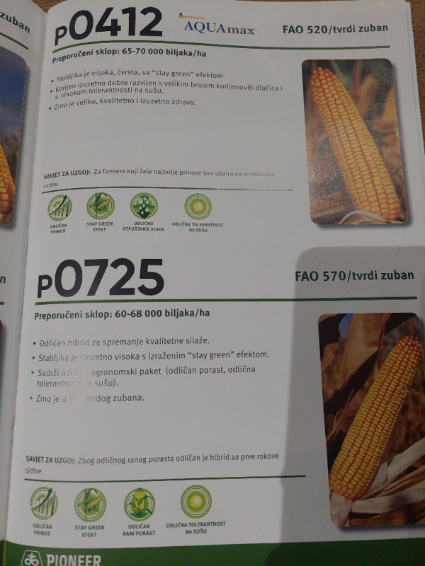 Pionir sjeme sjemenski kukuruz Pioneer zito - Sjemena - OLX.ba