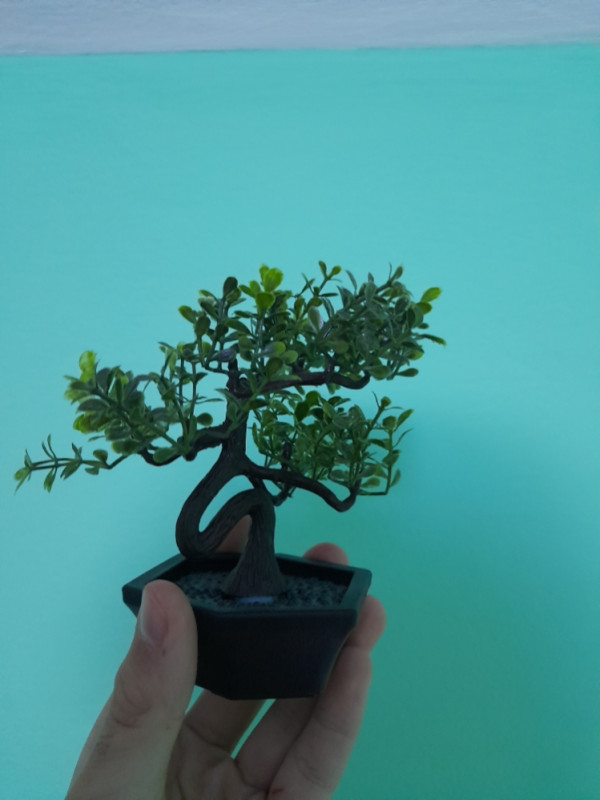 Ukrasno Bonsai Drvo - Umjetno bilje i cvijeće - OLX.ba