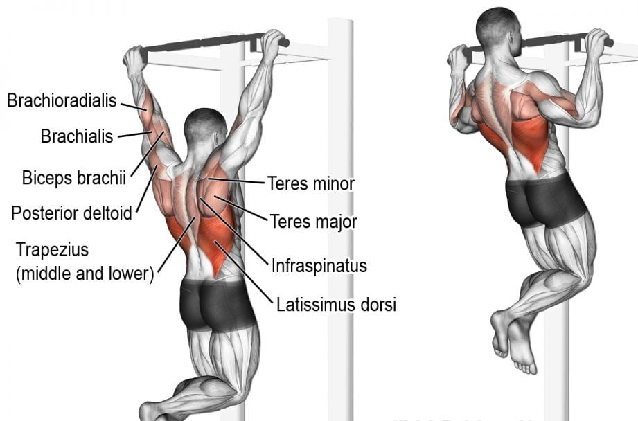 Zidno vratilo razboj set 2u1 extra kvalitet - Sprave za trbušnjake - OLX.ba