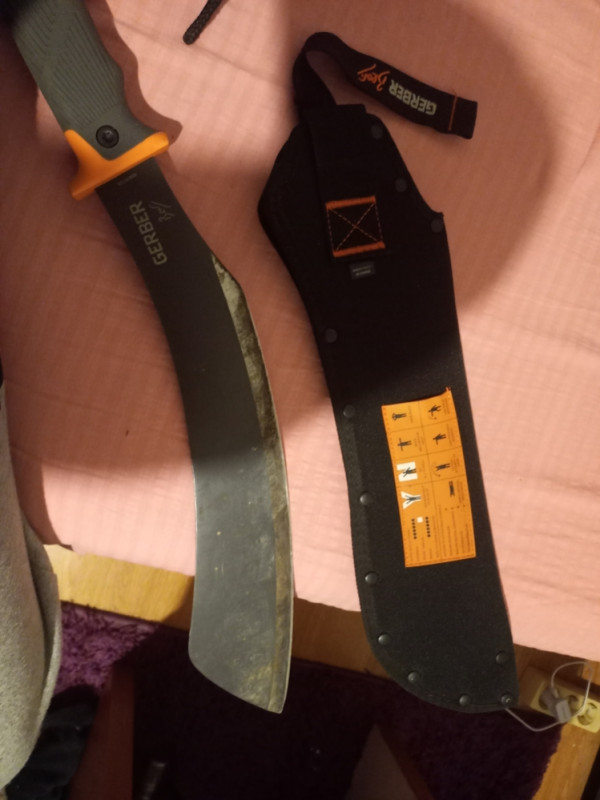 Maceta gerber - Ostalo - OLX.ba