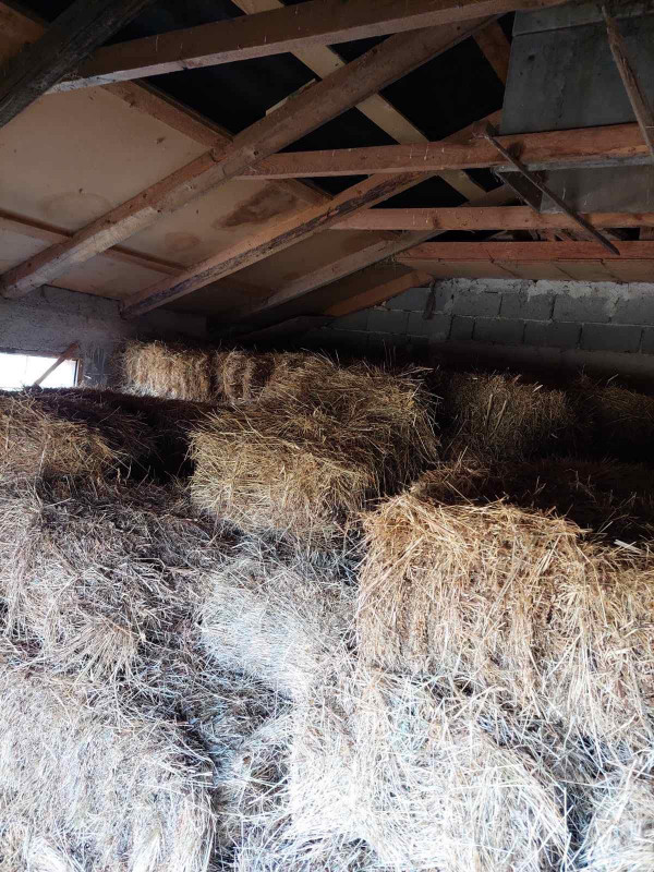 Sijeno (Bale) - Priključci i oprema - OLX.ba