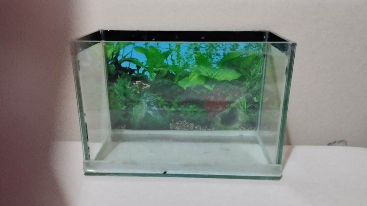 AKVARIJUM ZA RIBE ILI KORNJAČE MANJI SA SLIKOM - Akvarijumi - OLX.ba