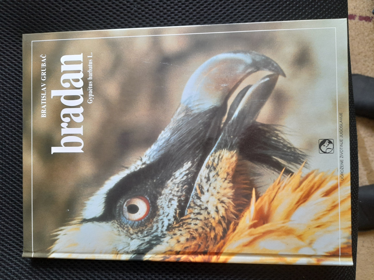 Orao bradan - Enciklopedije - OLX.ba