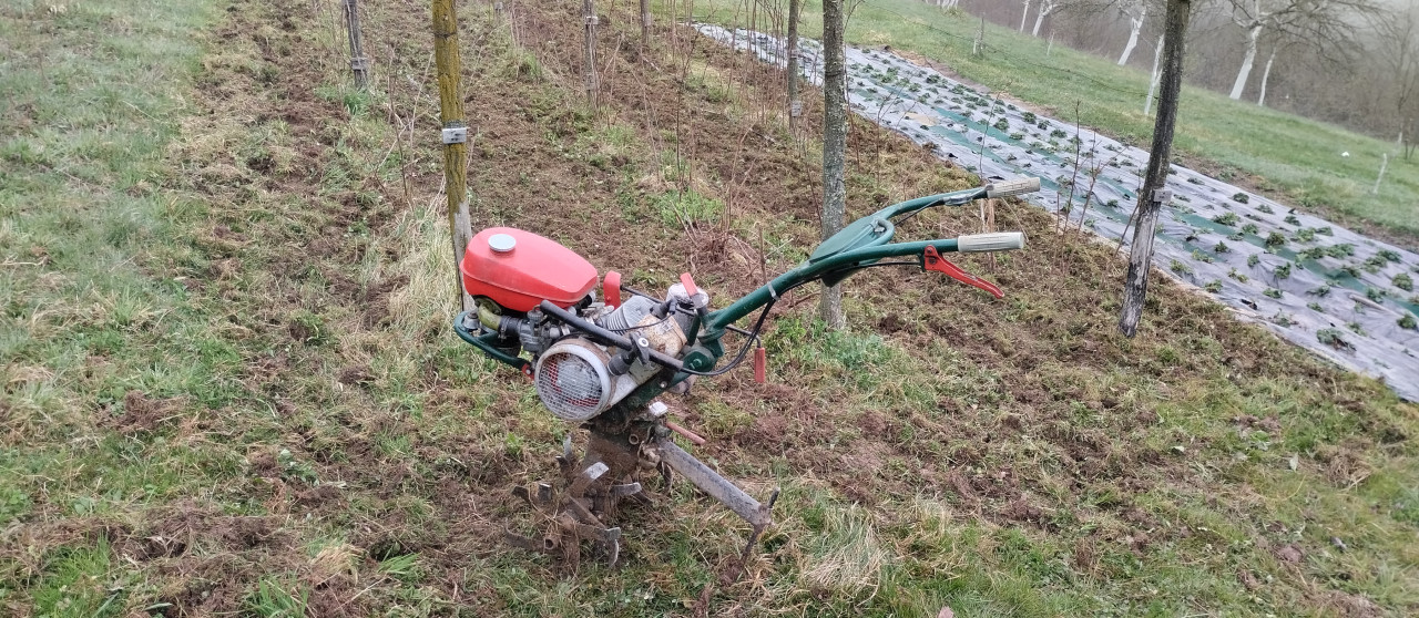 FREZA AGRIA 506 NJEMAČKA 6 KS DVOTAKTNA - Kosilice i kopačice - OLX.ba