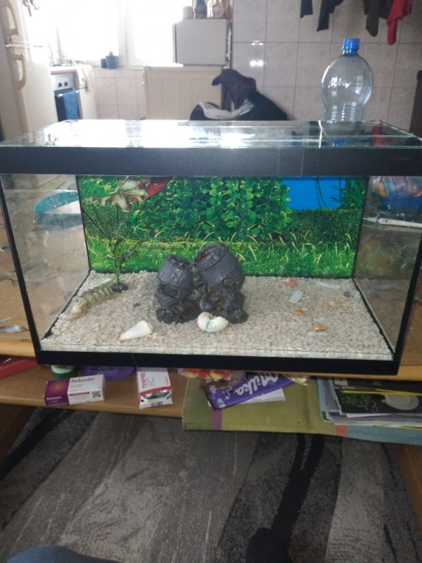 Akvarijum za ribice 25 l - Ostalo - OLX.ba