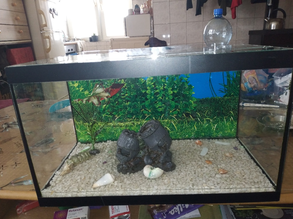 Akvarijum za ribice 25 l - Ostalo - OLX.ba