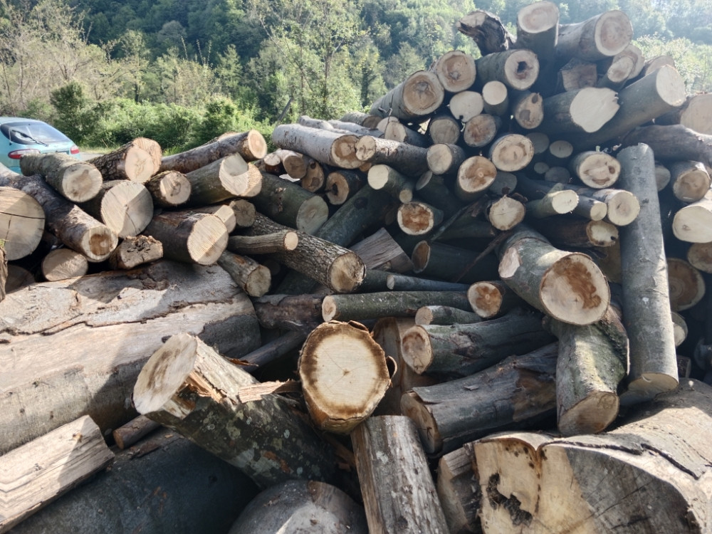 Drva za ogrev - Ugalj i drva - OLX.ba