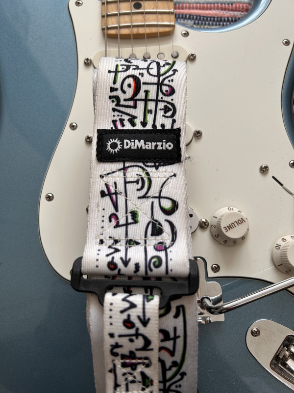 Dimarzio Clip lock Steve Vai - Ostalo - OLX.ba