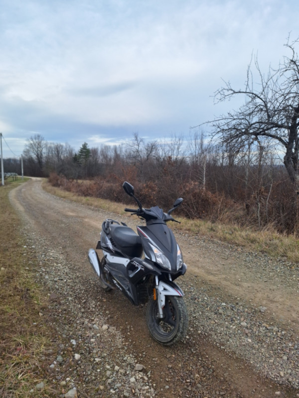 Sonic matador 50ccm - Motocikli - OLX.ba